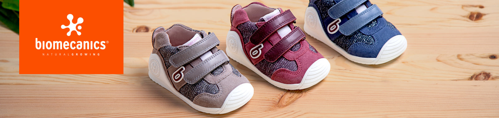 BIOMECANICS | Georgie Boy México